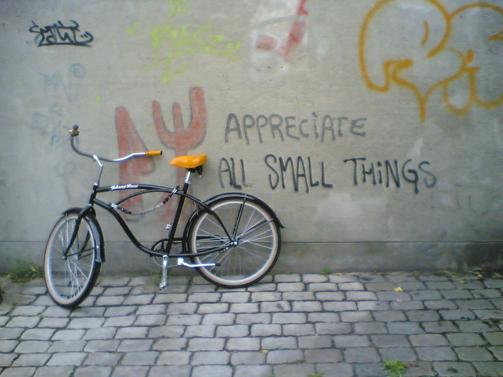 Appreciating the Small Things Is the Key to Contentment - Dianne M ...